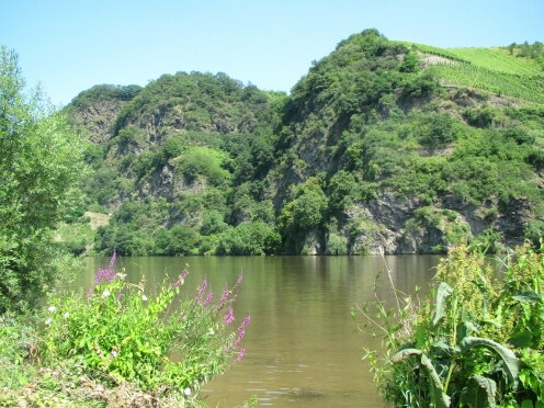 - Rund um die Moselloreley