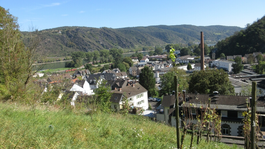 - Rheineck Aussichten